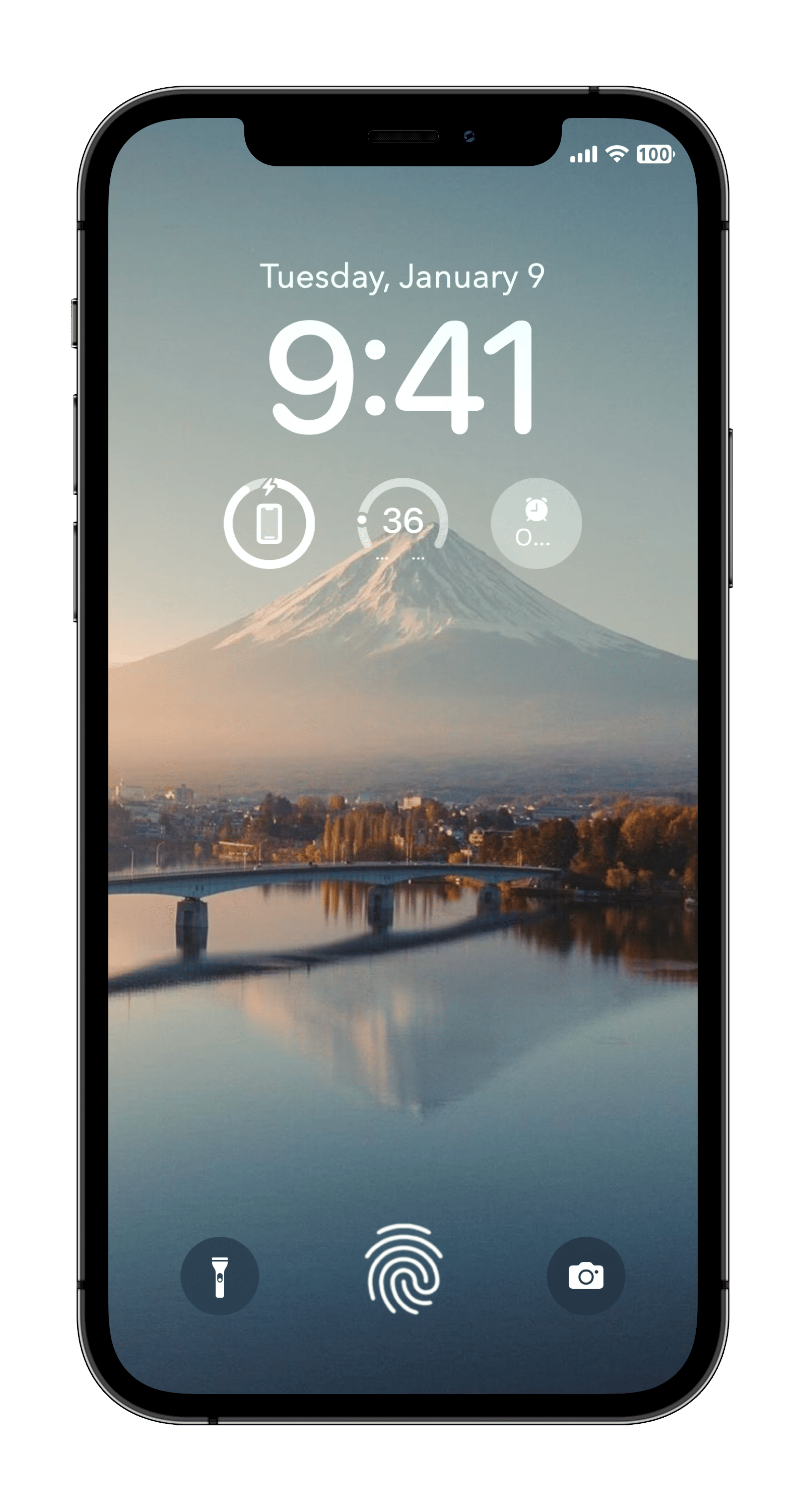FingerLock - Havoc Repo